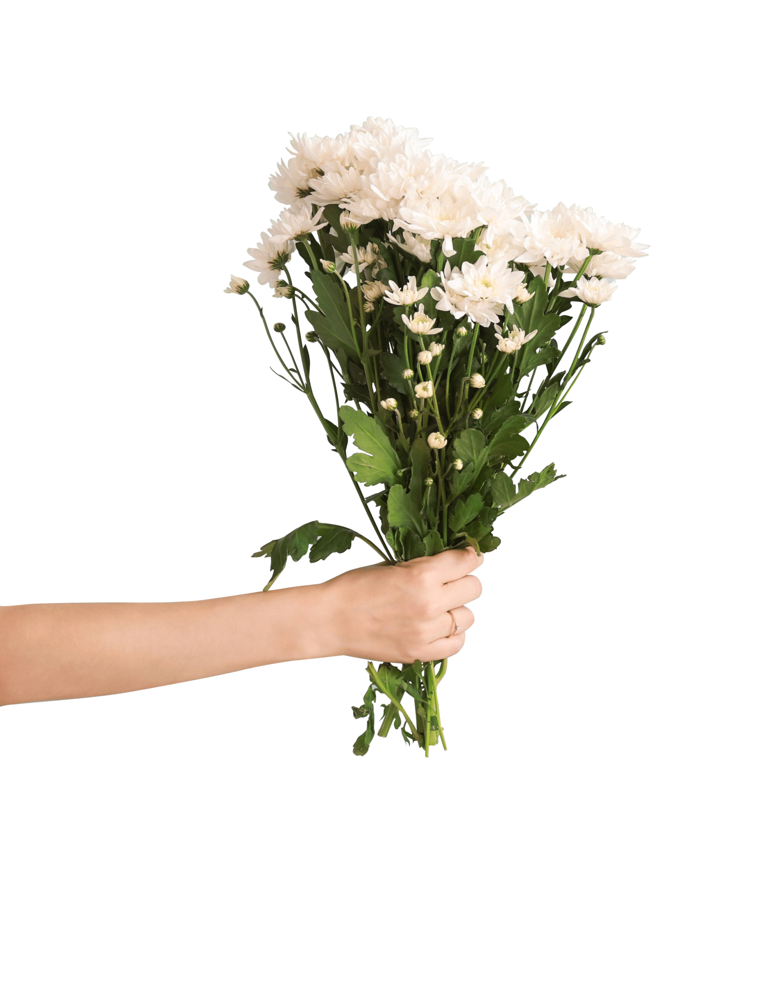 Lake ENT | Ear | Nose | Throat | Sinus | Allergy | Audiology